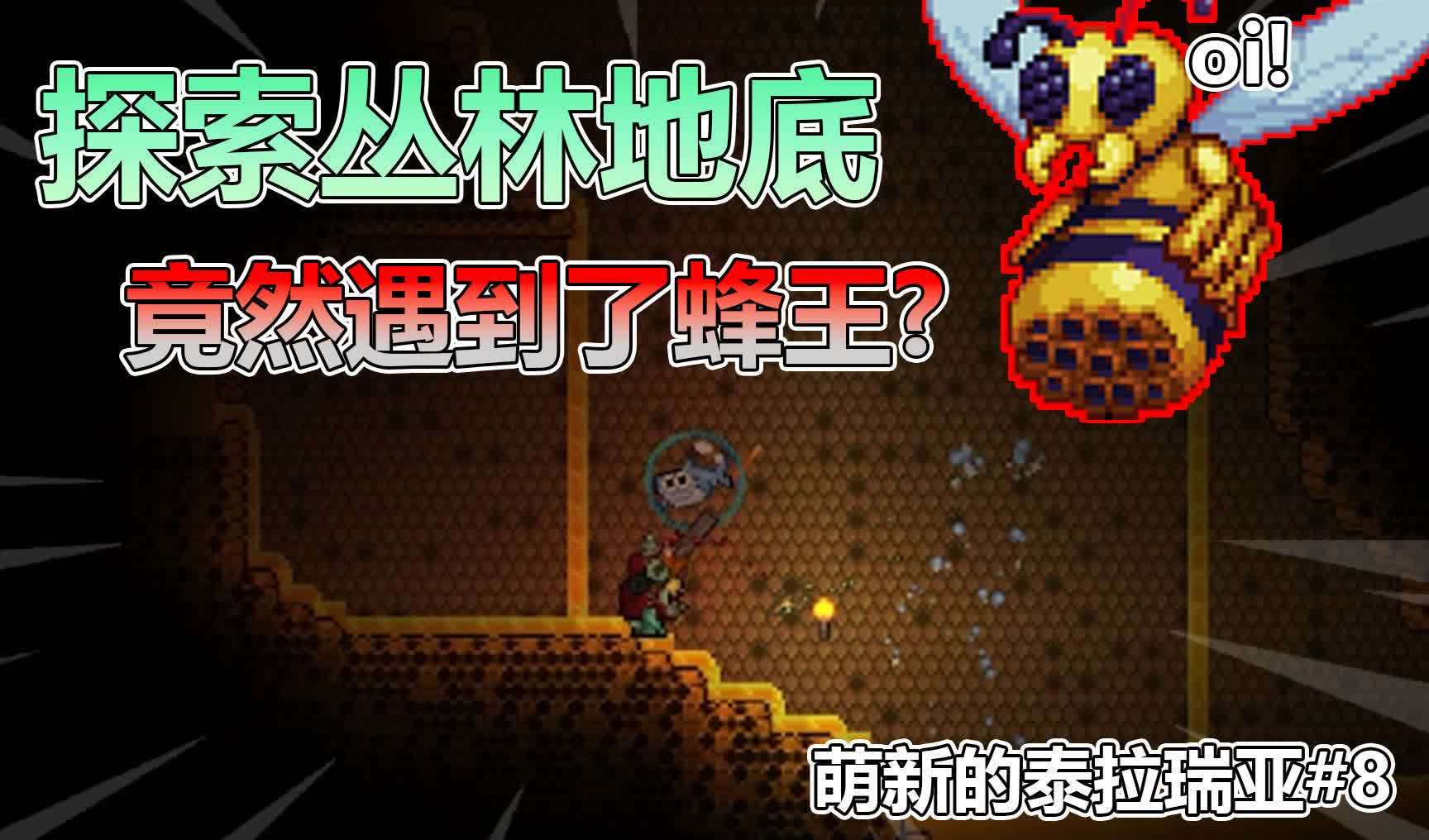 探索丛林地底竟然遇到了蜂王!萌新试玩泰拉瑞亚第八集