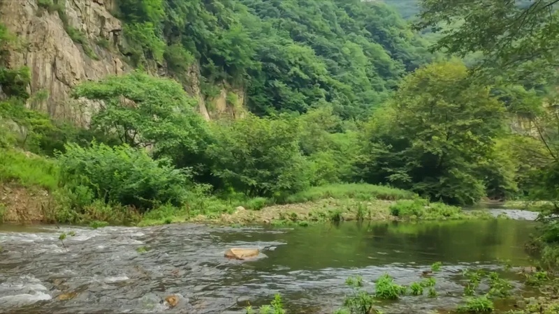 信阳这个景点的山水神似张家界,风景优美还免费,此生必去一次