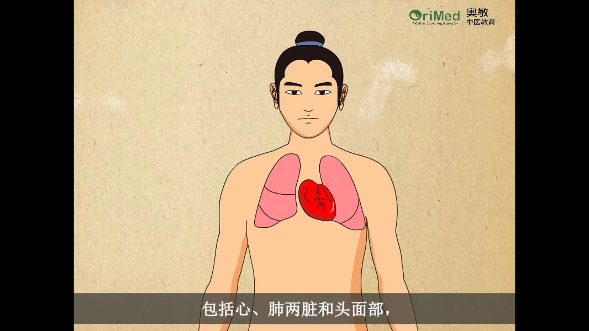 动画中医:课时5-2-2:六腑,奇恒之府,脏腑之间的关系