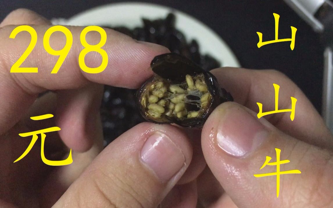 爷爷说这是世界上最贵的可食用昆虫,298元一斤,肚子里都是虫卵,胆小...