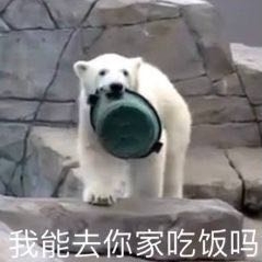 厌然不叫张皮皮了 