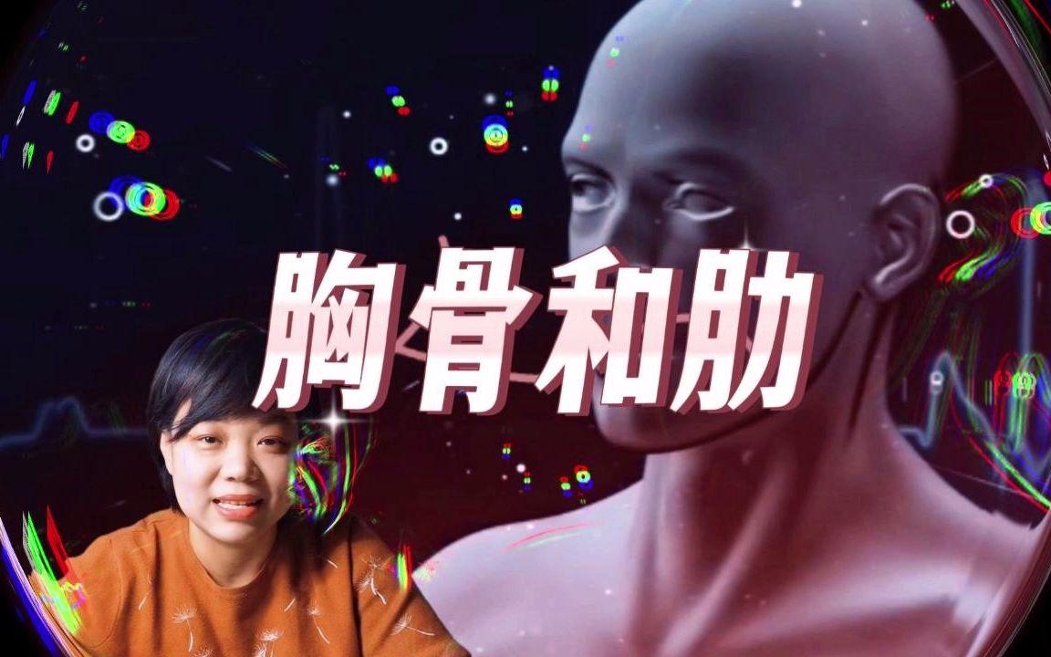胸骨是什么样子的,人体的12对肋又是怎样的呢?人体解剖学运动系统