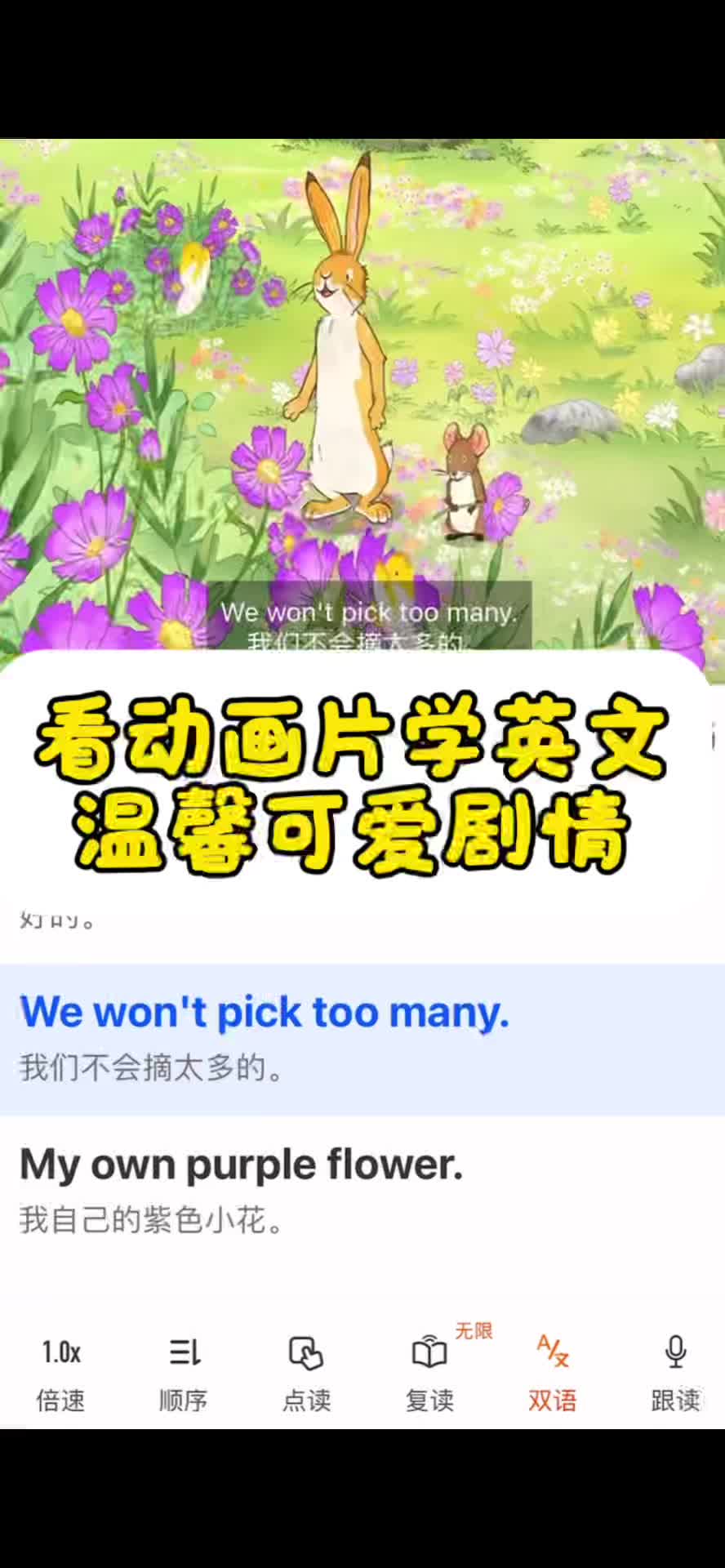 简单快乐学英文 经典的小兔子动画片#英语没那么难 #每日英语 #英语...