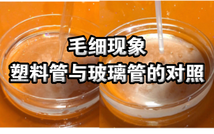 毛细现象[塑料管与玻璃管的对照][管壁清洁与否对毛细现象的影响]