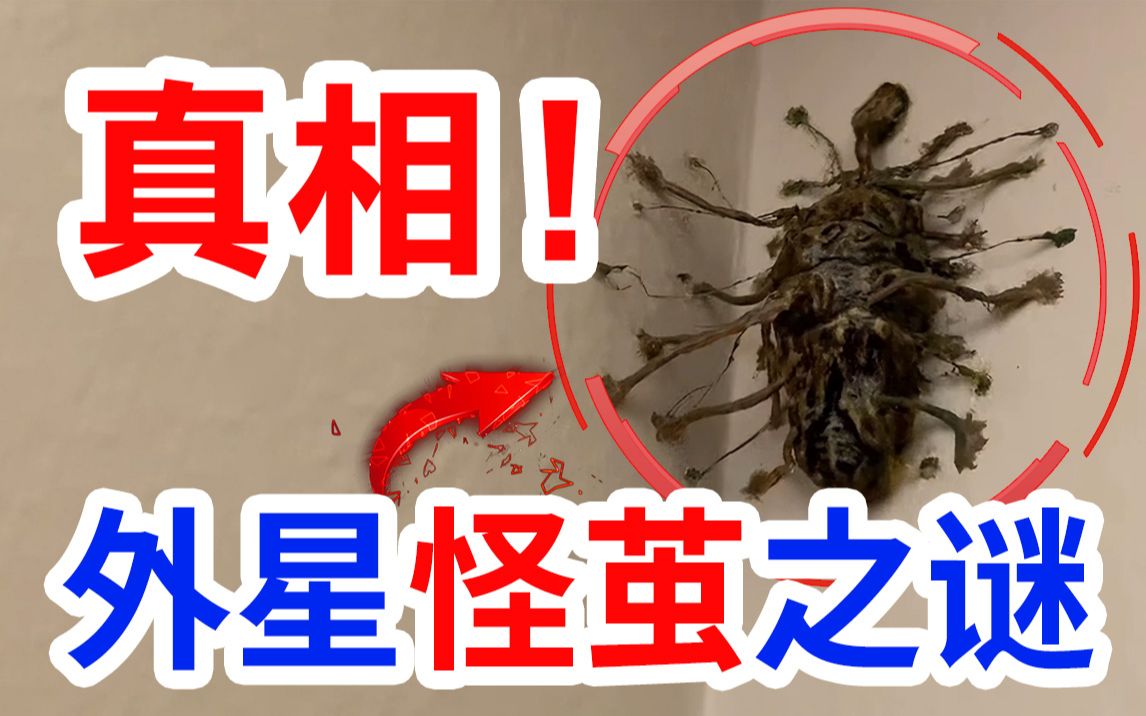 最恐怖未知生物!看到第2幕的时候,科学家毛骨悚然|PowPow