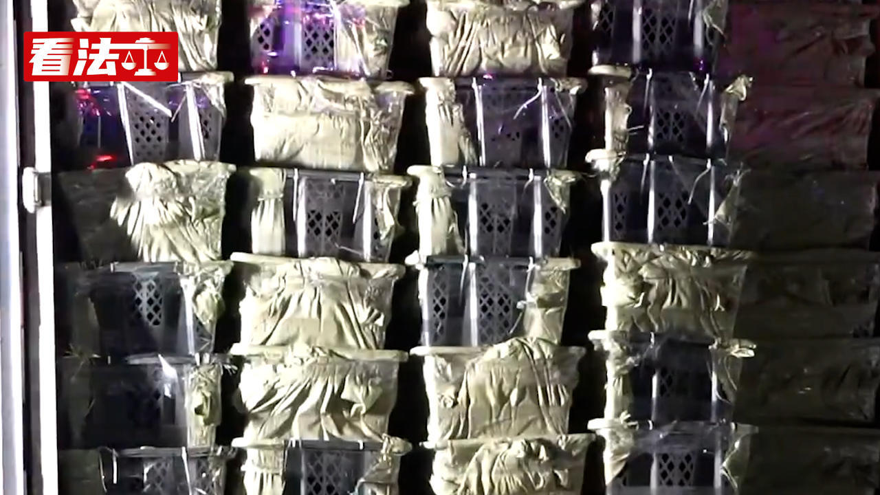 "宠物盲盒"是否违法? 律师:娱乐有度 要在法律框架内进行