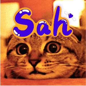 Saん 