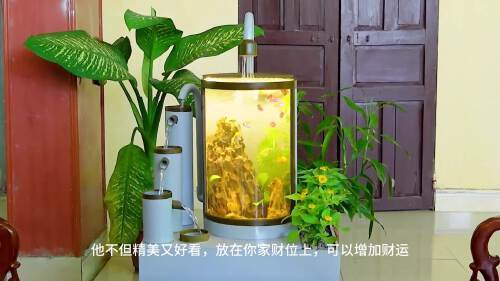 超简单!用PVC管打造梦幻鱼缸,手把手教你DIY惊艳水族景观