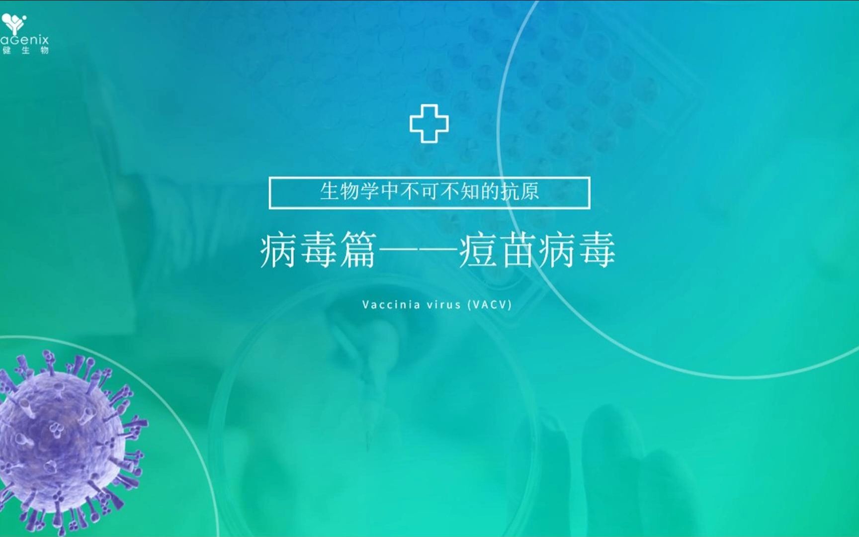 生物学中不可不知的抗原——痘苗病毒