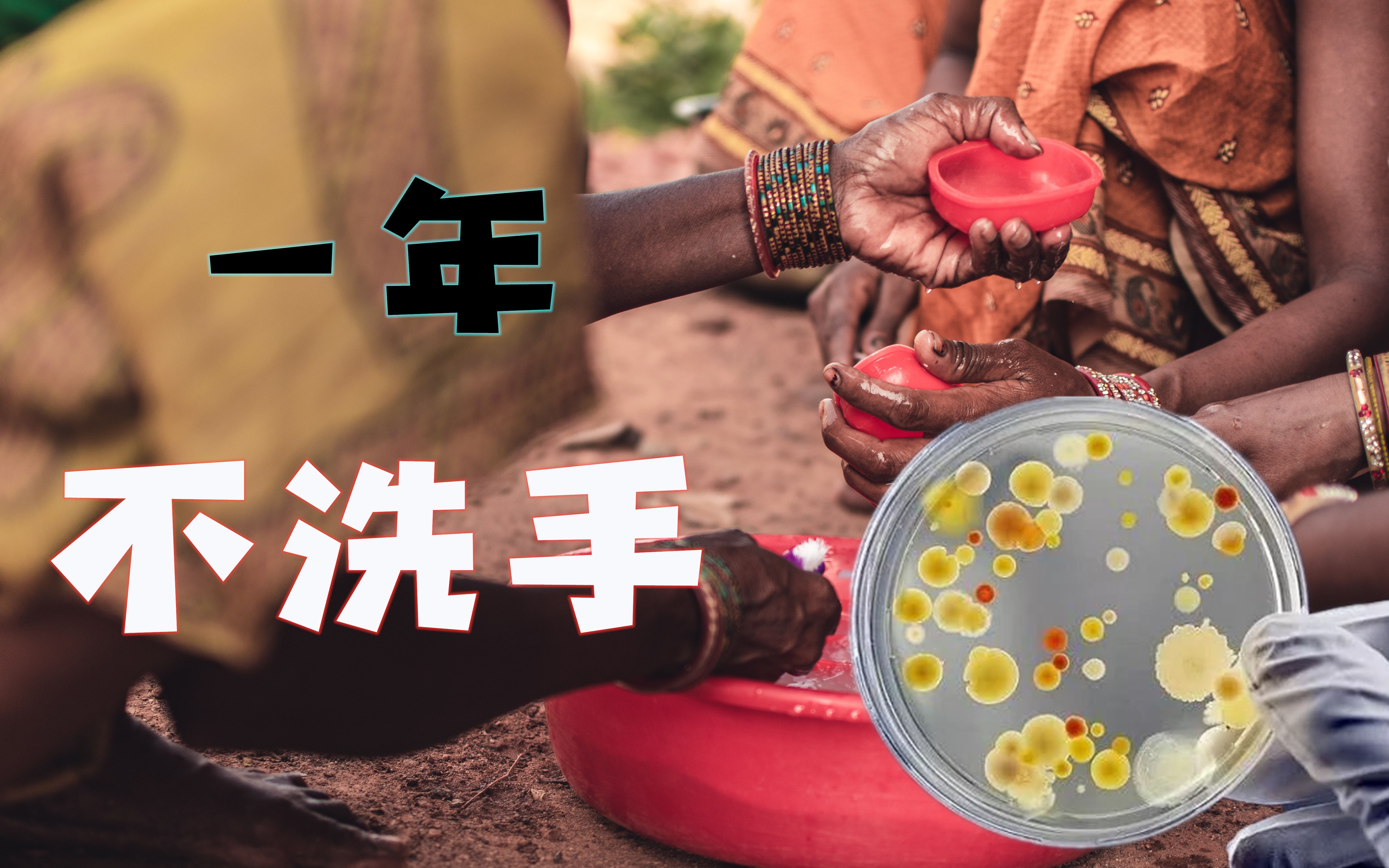 如果你1年不洗手的话!会滋生多少细菌呢?又会带来什么后果?