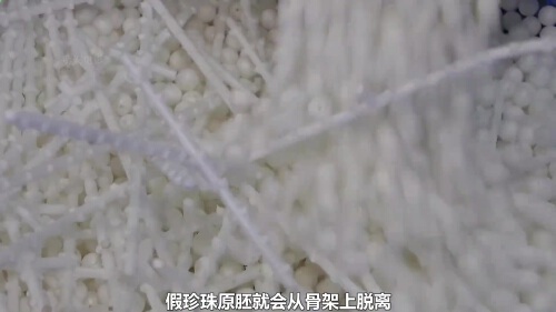假珍珠是如何制作出来的