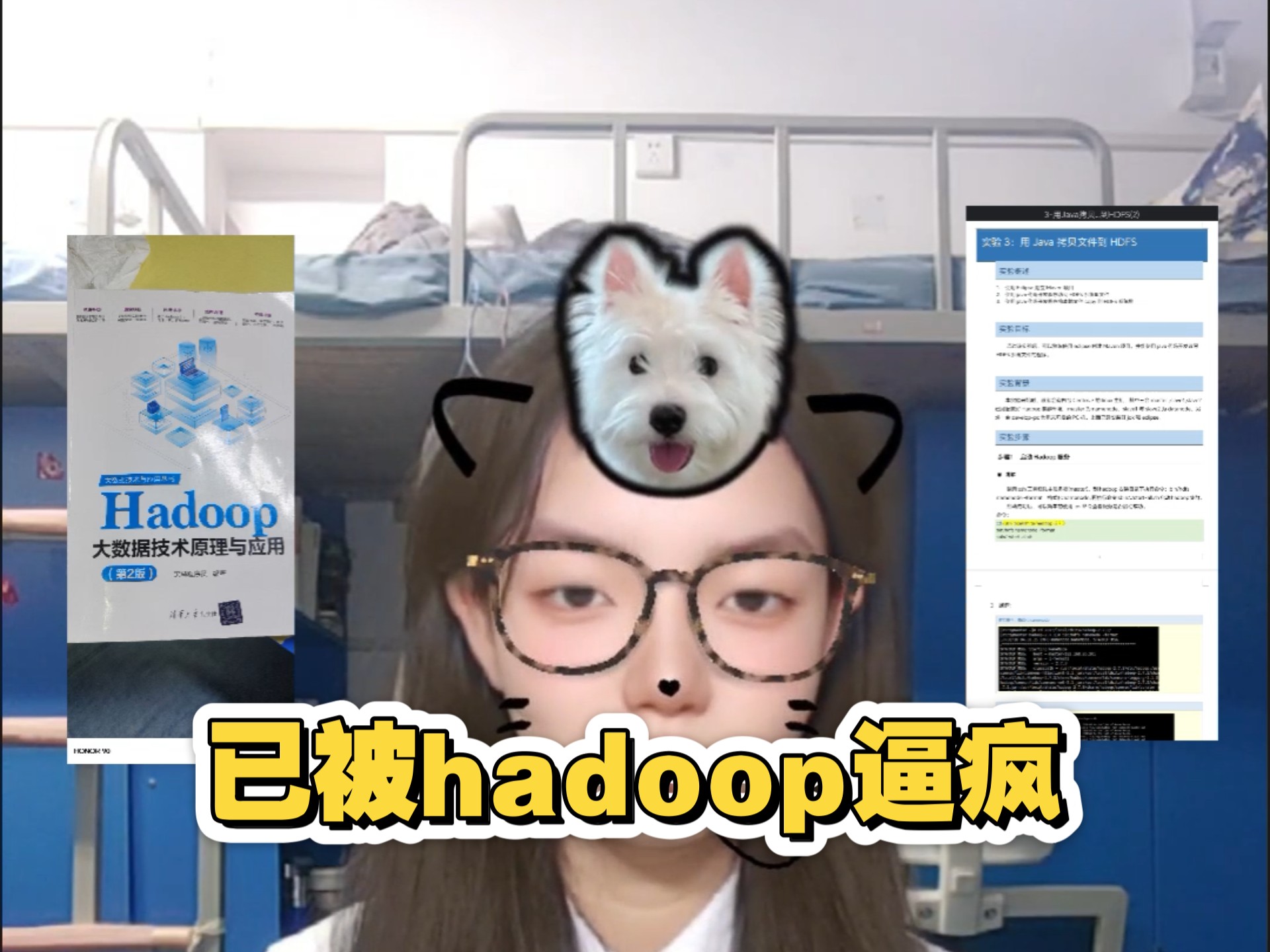 开春第一疯!被hadoop逼疯了!