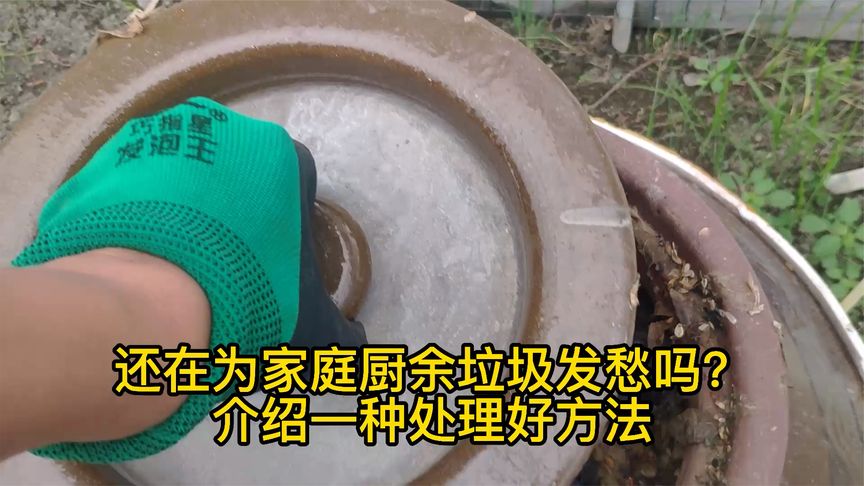 还在为家庭厨余垃圾发愁吗?介绍一种处理好方法