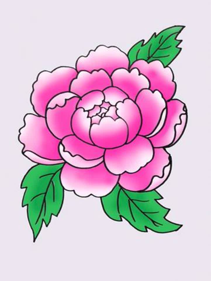 牡丹真国色#牡丹 #菏泽牡丹 #国色天香牡丹花 #儿童简笔画 #简易花草.