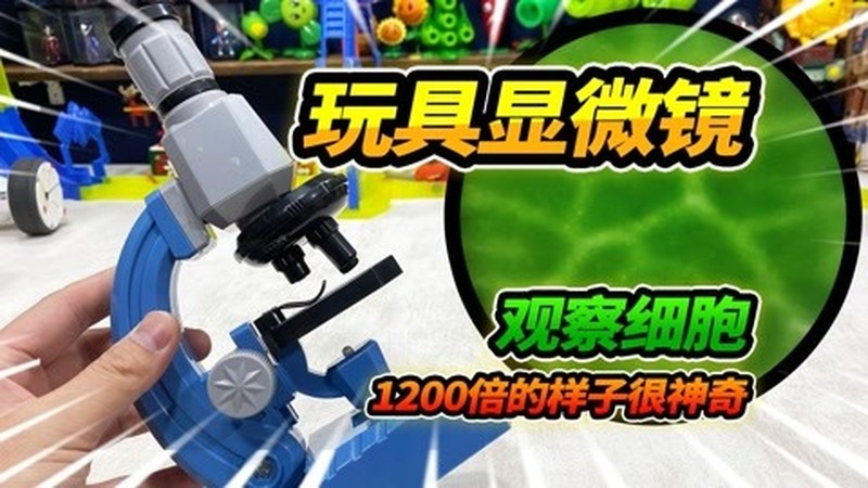 玩具店发现1200倍显微镜,买回家观察植物细胞,感觉太神奇了
