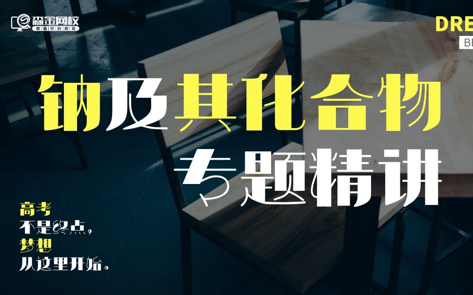 森金网校 高中化学 钠及其化合物 专题精讲