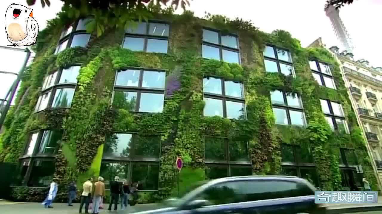 建筑物外墙铺满上万颗绿色植物,是一种什么样的心情