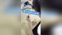 这样跳闸 如果不跳闸 就是偷电 电表不走