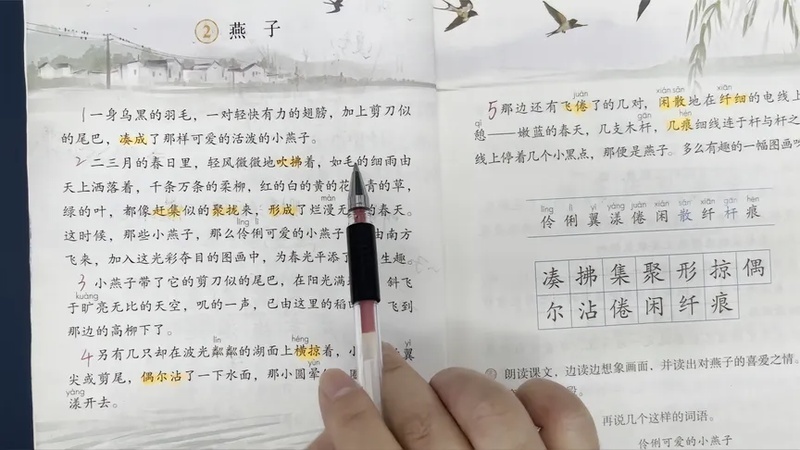 三年级下册第2课,《燕子》讲解课程中的分解视频!
