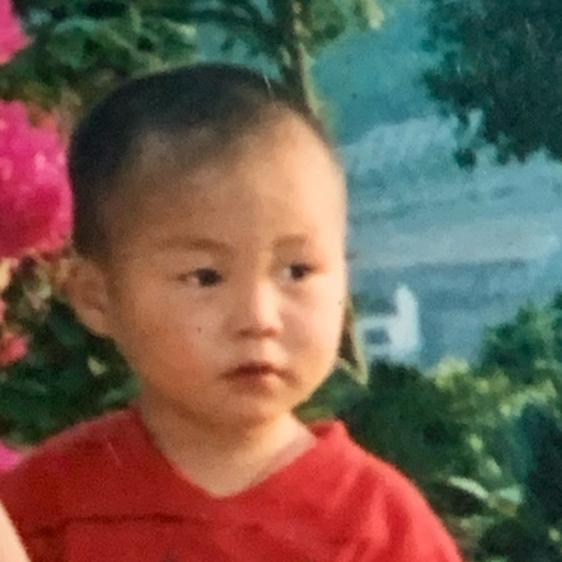 环游世界的小树 