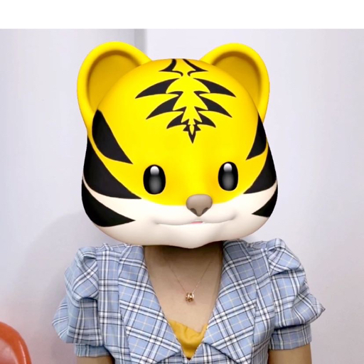 李珊珊老师 