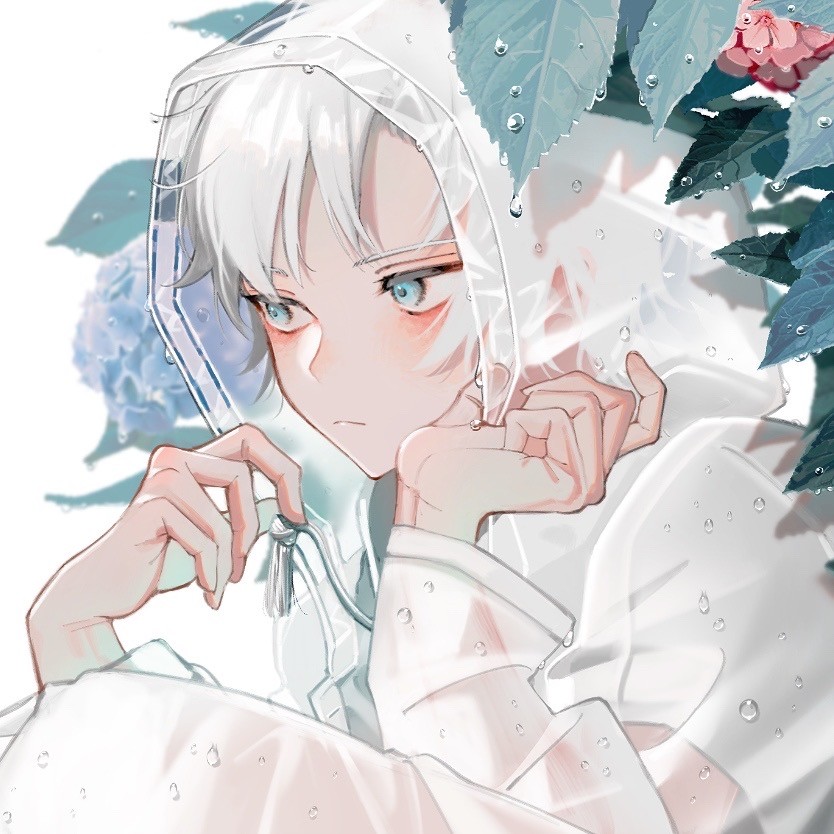 退役的网络爱好者 