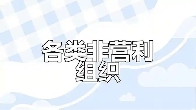 非盈利性组织的类型与功能