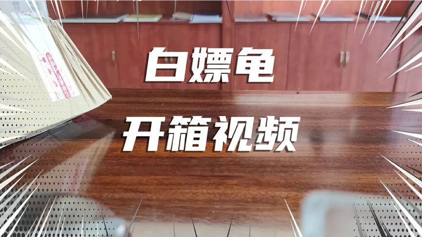 【开箱视频】朋友神秘兮兮的,送了我个乌龟盲盒,让我看看是啥?