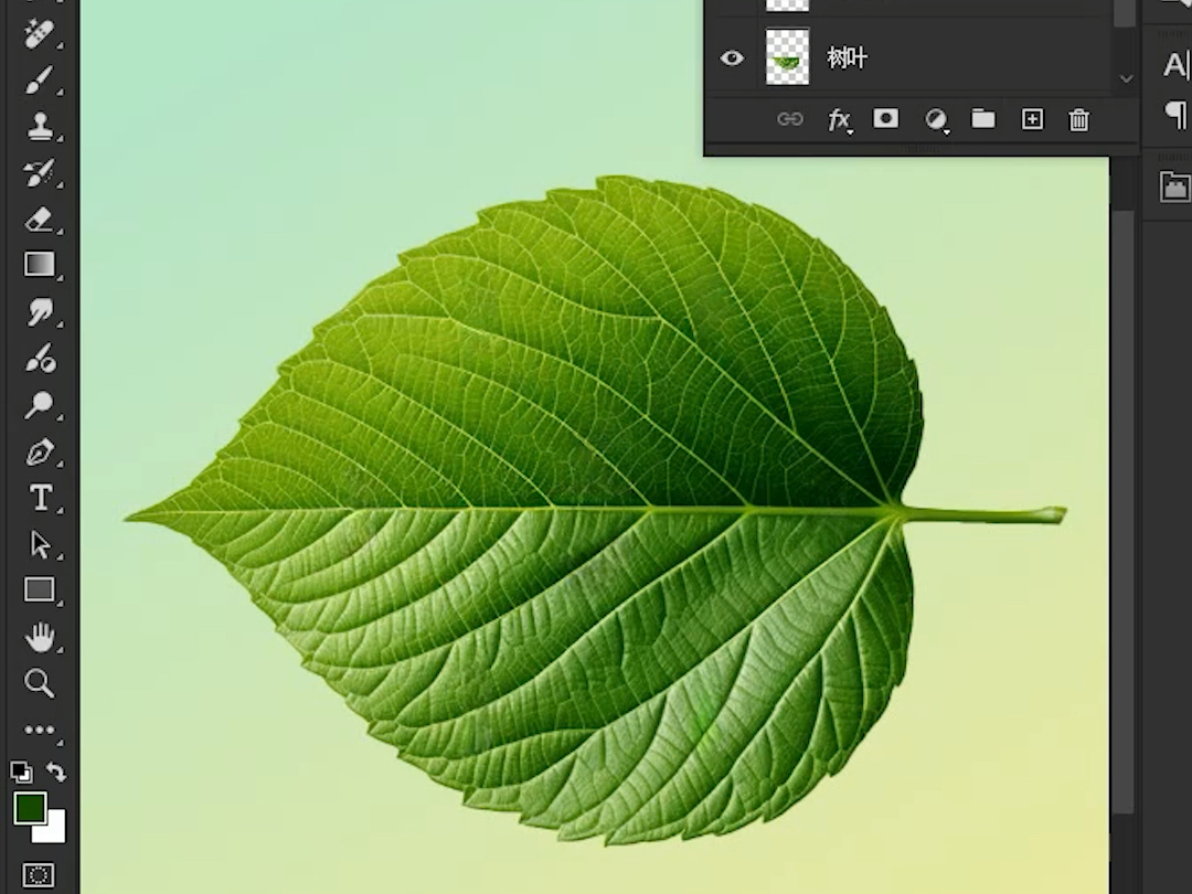 教你ps教程学会剪贴蒙版来制作树叶城市剪影效果。