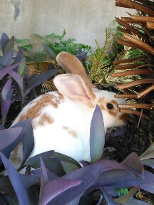 9爱分享 