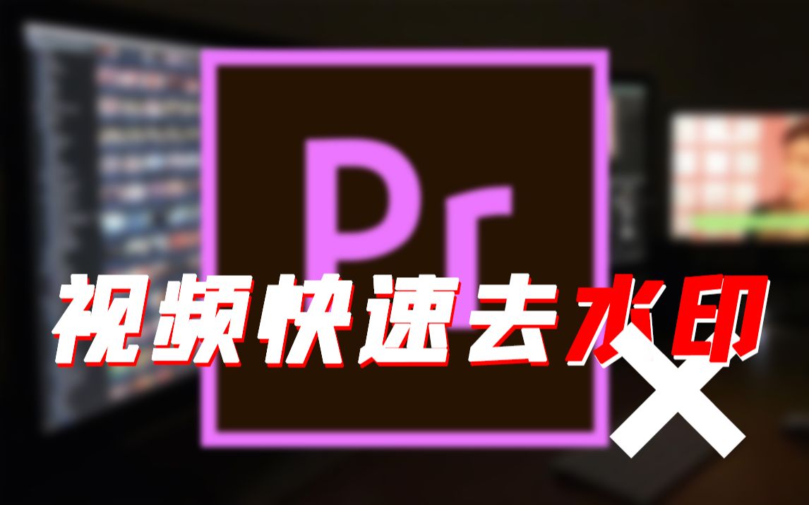 PR教程——视频去除水印