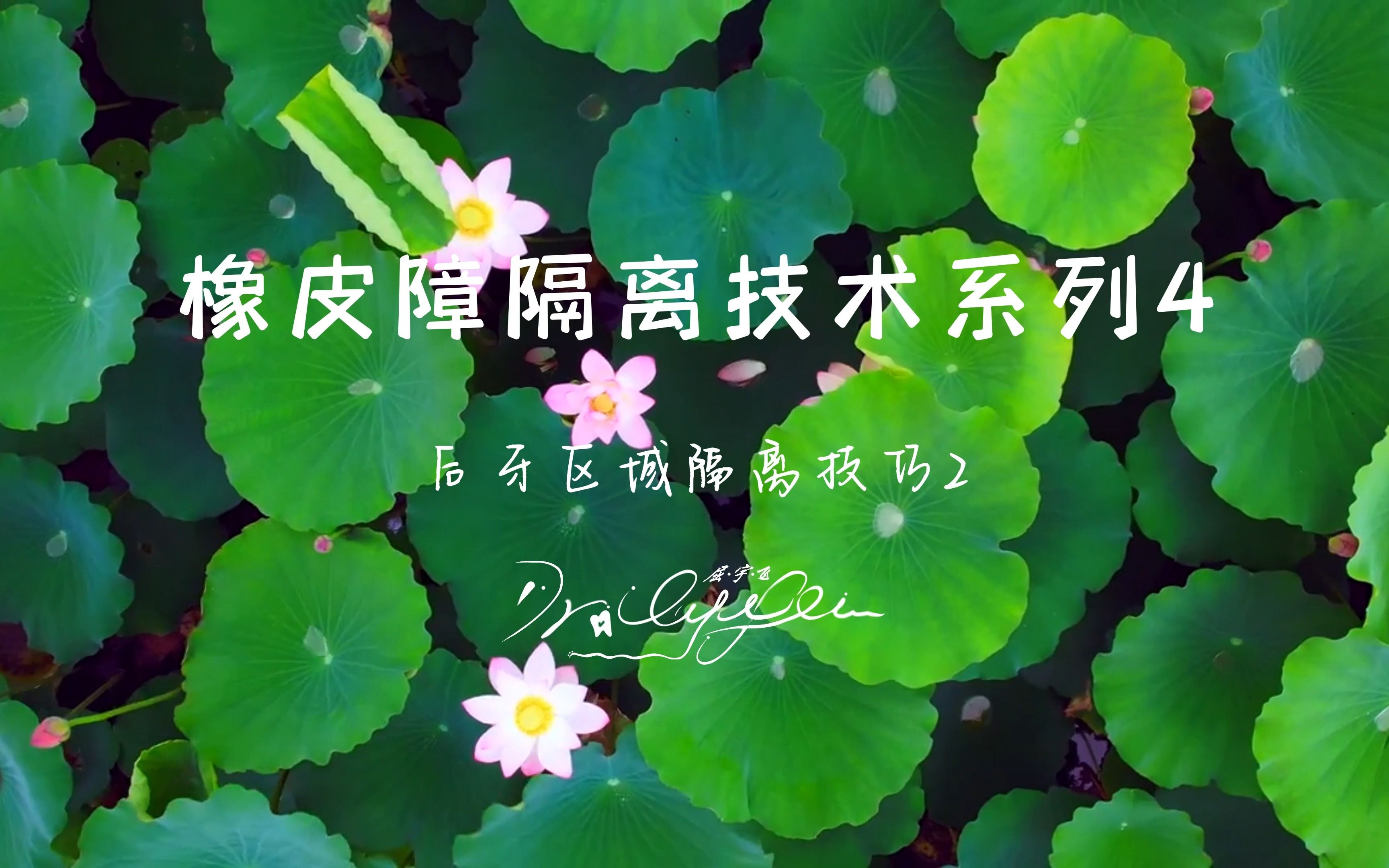 橡皮障隔离技术系列4 后牙区域隔离技巧2