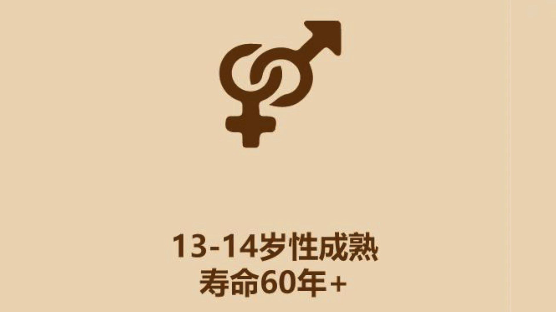 一分钟认识大象