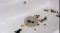 一个放厨房,一个放浴室,防臭地漏,再也不担心下水道会堵塞了,清洗放便