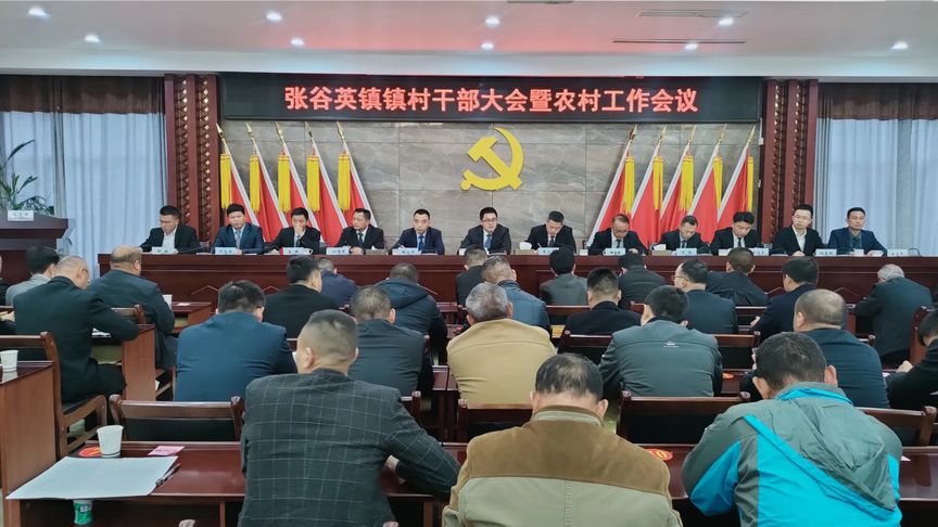 一位村总支书记关于乡村振兴与巩固脱贫攻坚成果的表态发言