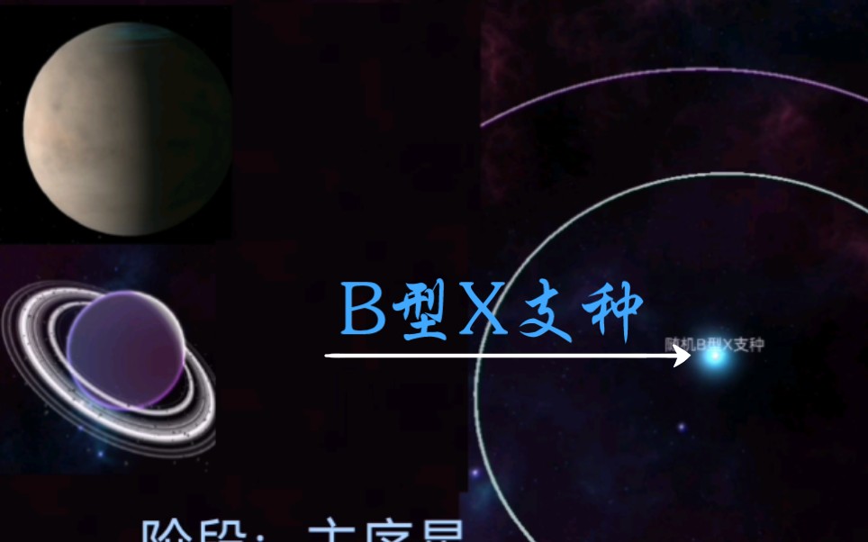[口袋宇宙]模拟B型X支种的生命历程