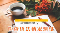 Grammarly 校对语法情况测试