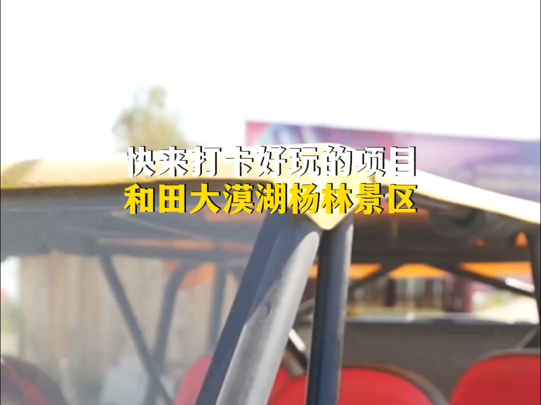 快来打卡好玩的项目,和田大漠湖杨林景区。