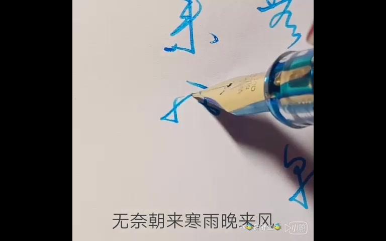 【手写】【草书】【钢笔】【相见欢】林花谢了春红,太匆匆。