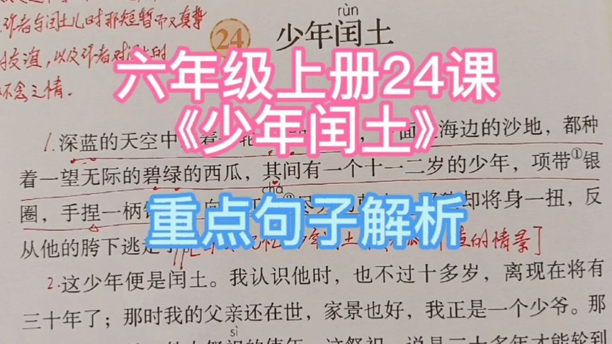 六年级上册24课《少年闰土》重点句子解析