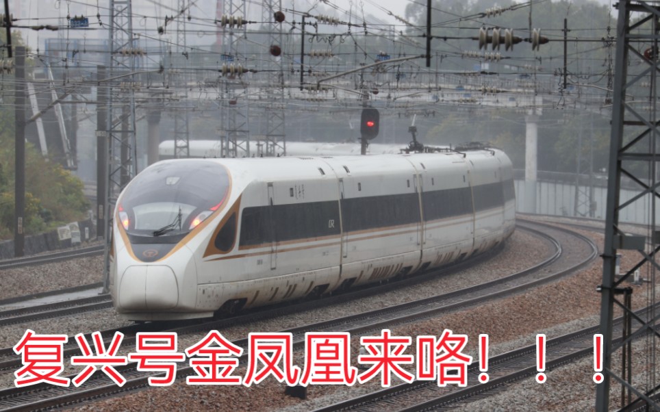 CR400BF下广深铁路!列车太好看了!