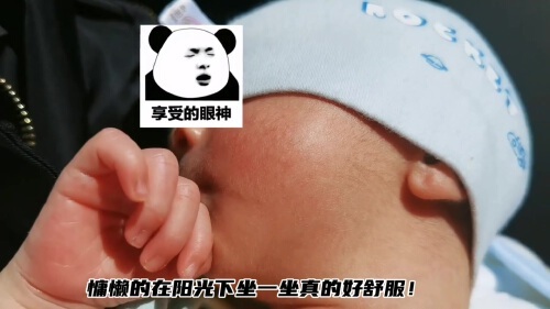 新生儿黄疸综合征特征及早期干预策略研究:基于十名婴儿临床数据分析