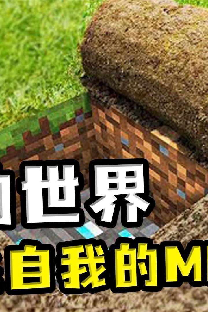 我的世界:玩家能在MC自制出任意门吗?打开就能到下界