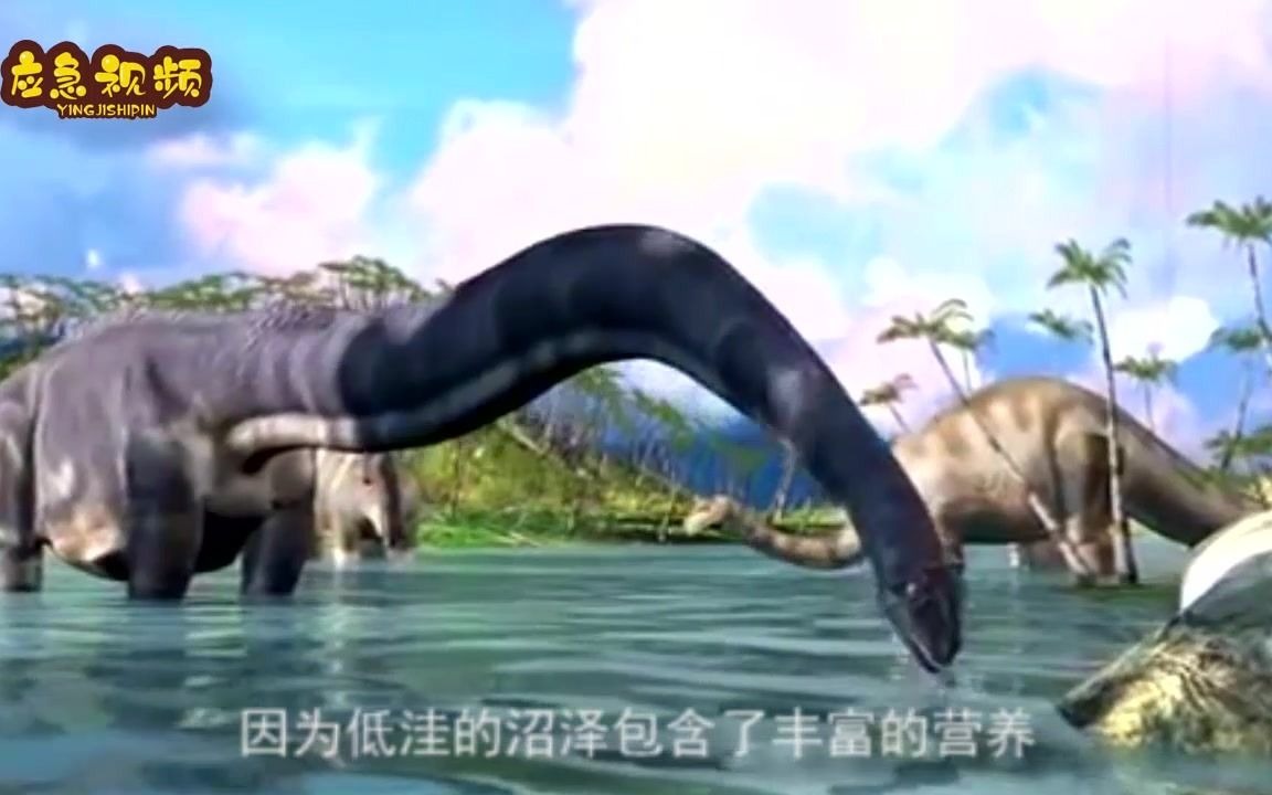 三维再现侏罗纪、石炭纪恐龙时代煤炭的形成过程