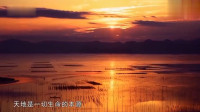 博导:人是万物中之灵,因为人的主动性和能动性