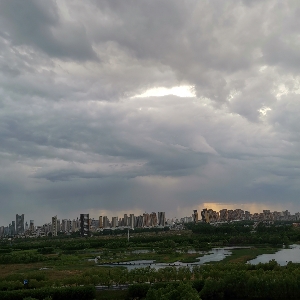 ppwq小天才 