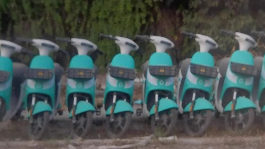 共享单车黄的蓝绿的,都来过。现在又来青的-青桔共享单车