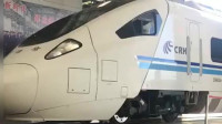 和谐号CRH3A动车组进仓库了,外号被称为“兔子”