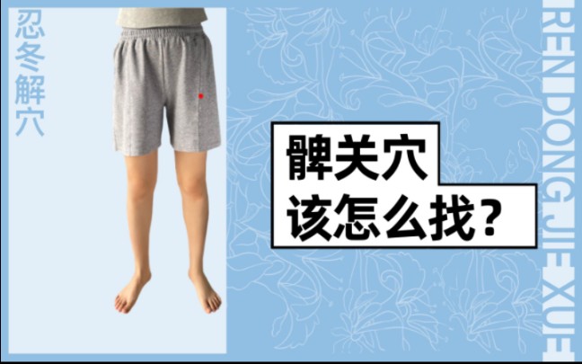 髀关穴该怎么找?