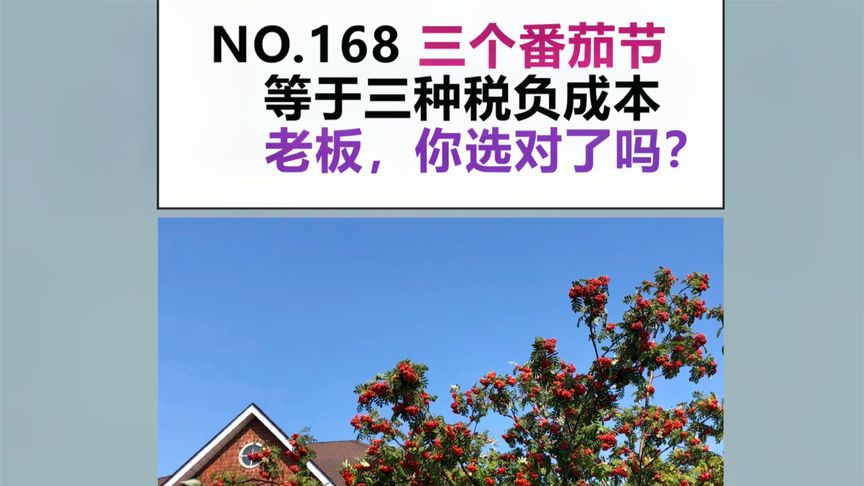 三种模式的番茄节= 三种不同的税负,老板,你选对了吗?